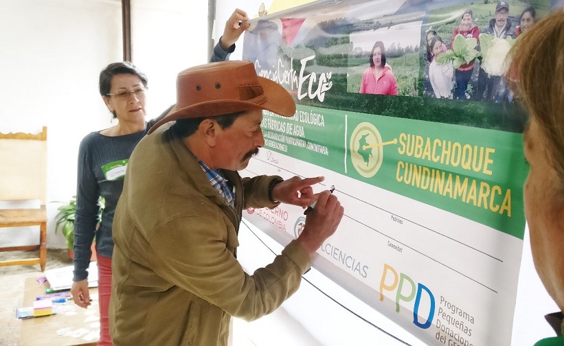 Restauración de áreas degradadas y deforestadas del Páramo de Guerrero ...