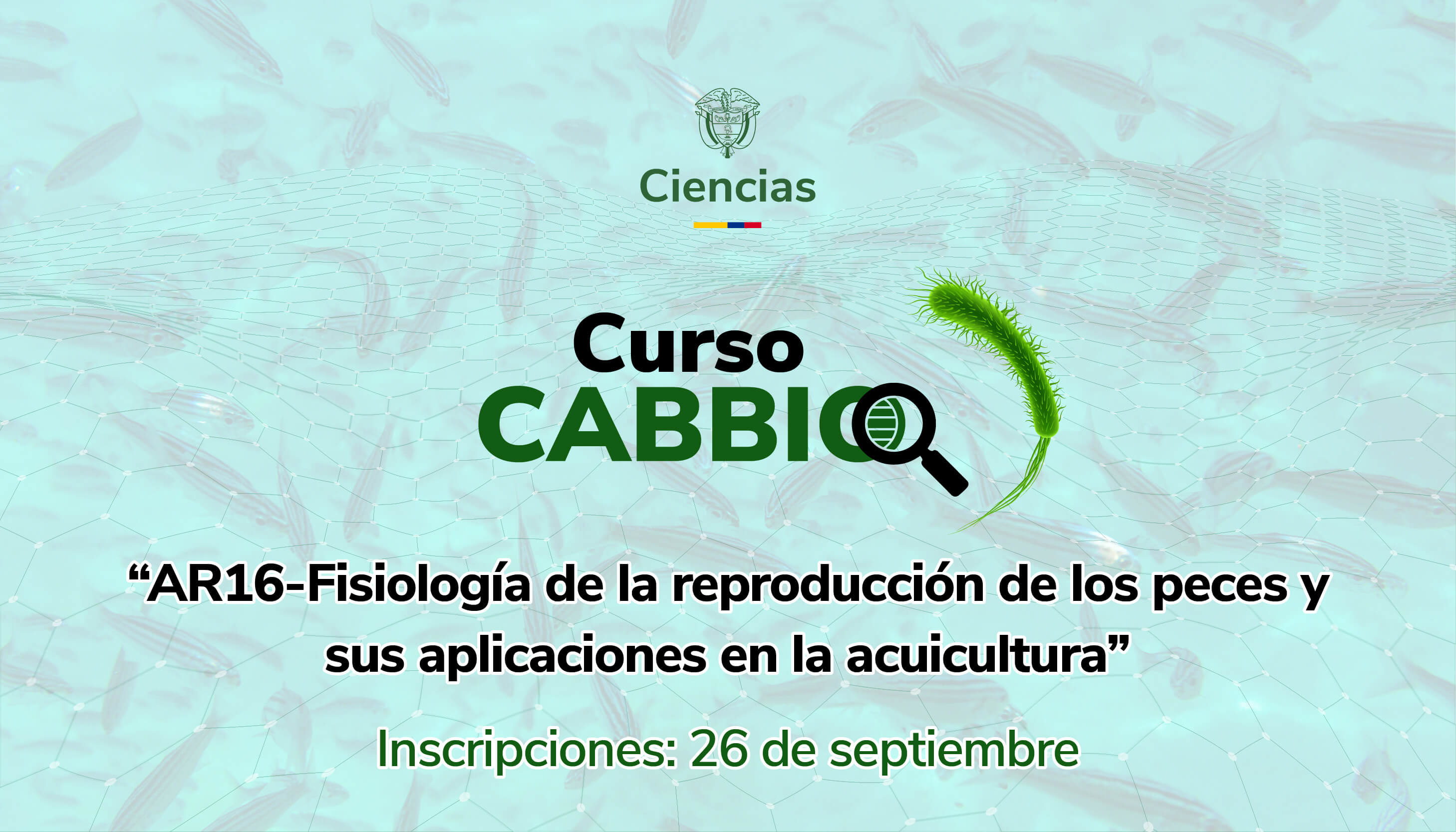 ¡Atención! Postulaciones abiertas para curso presencial de ...