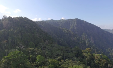 Chocó | Minciencias