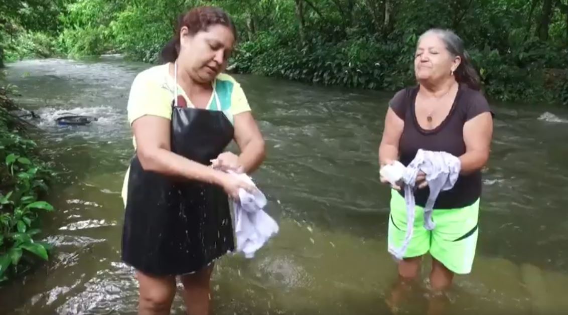 Lavado y manduco para una vida Dorada | Minciencias
