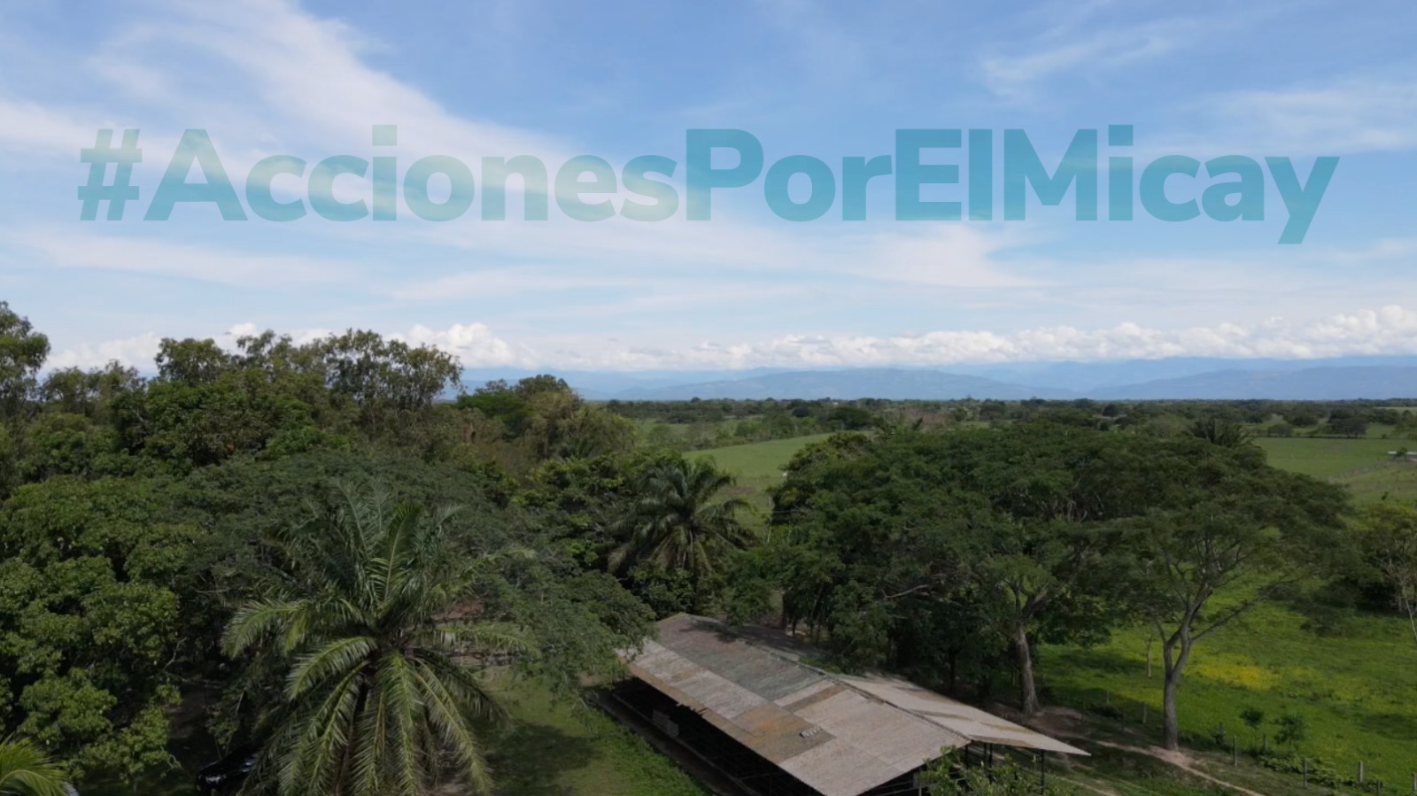 micay.jpeg | Minciencias